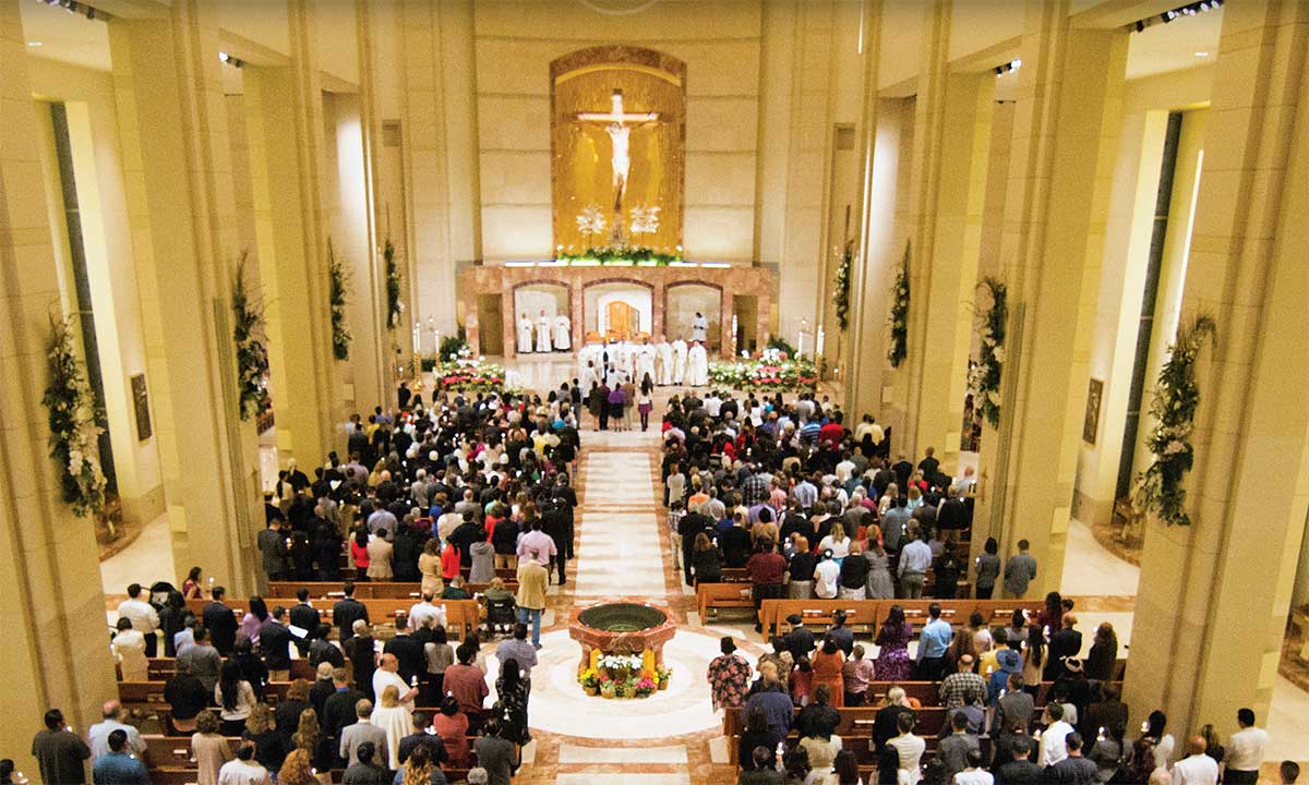 Archdiocese of Galveston-Houston, TX - Guidance in Giving